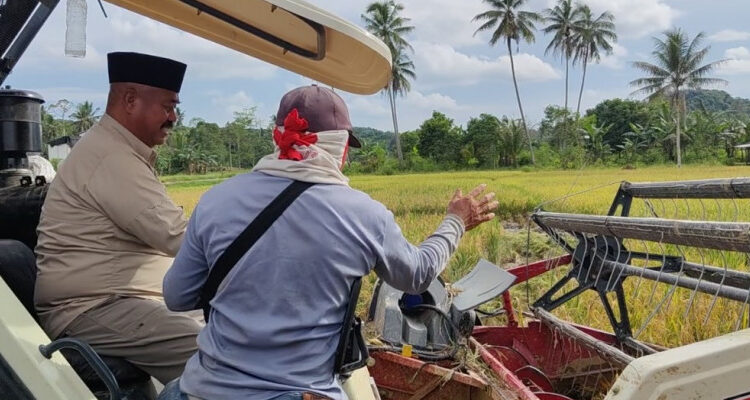 5 Desa Di Muara Kaman Dijadikan Kawasan Pengembangan Pertanian – Lintas ...
