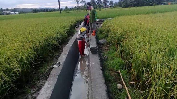 Gencar Bangun Jaringan Irigasi untuk Pertanian Padi Sawah – Lintas Raya